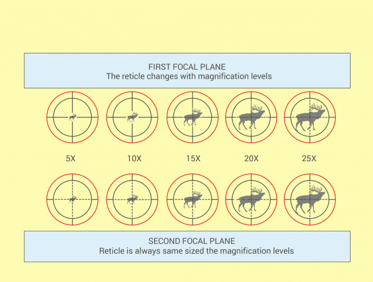 First Focal Plane (FFP) vs. Second Focal Plane (SFP): What’s the ...